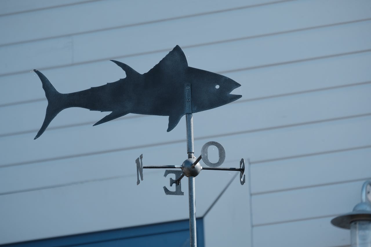 The Best TikTok Trends to Know in 2025